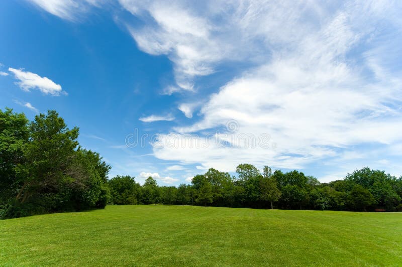 Park Scene stock image. Image of beauty, lawn, trees, nature - 2969067