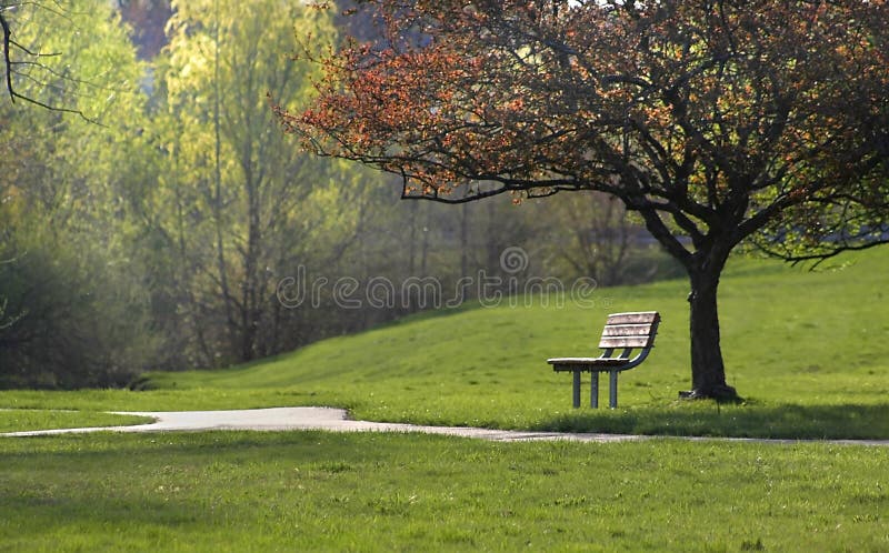 Park Scene stock photo. Image of shade, peace, nature - 5000126