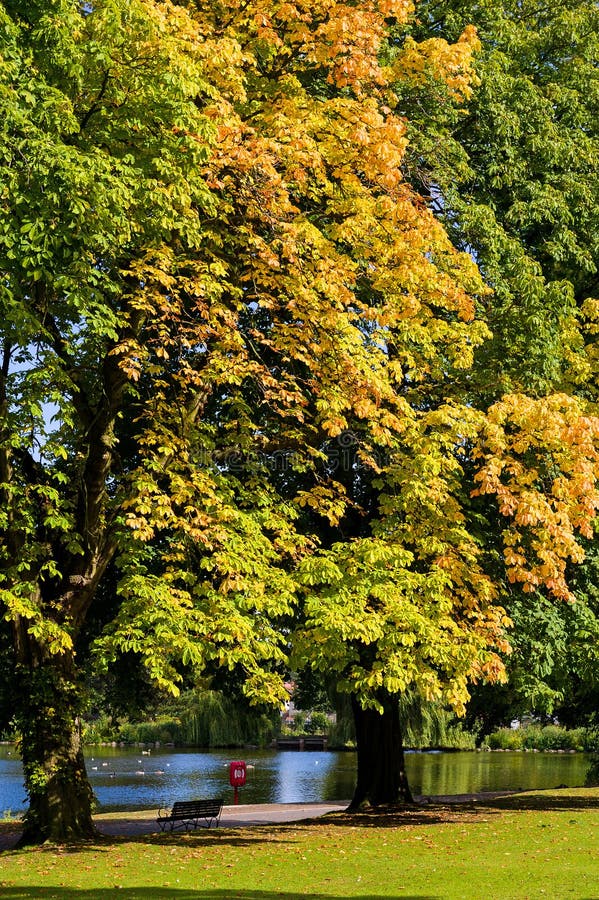 Park scene stock image. Image of area, lifestyle, object - 42326719