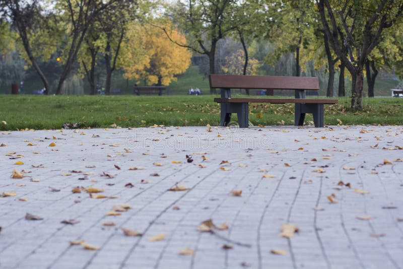 Park scene stock image. Image of grass, autumn, scene - 51598933