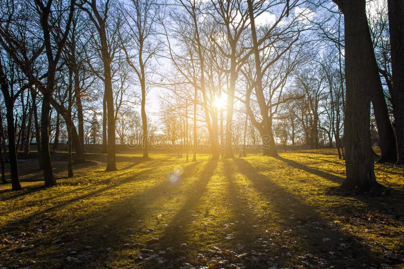 Park scene in winter stock image. Image of cold, lebanon - 94140841