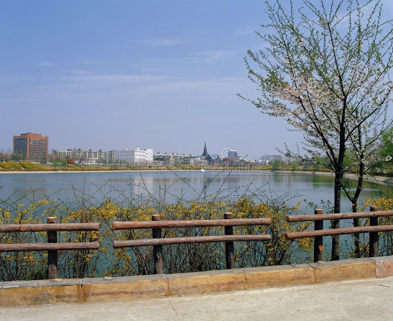Park stock photo. Image of lake, city, scenic, scene - 81533792