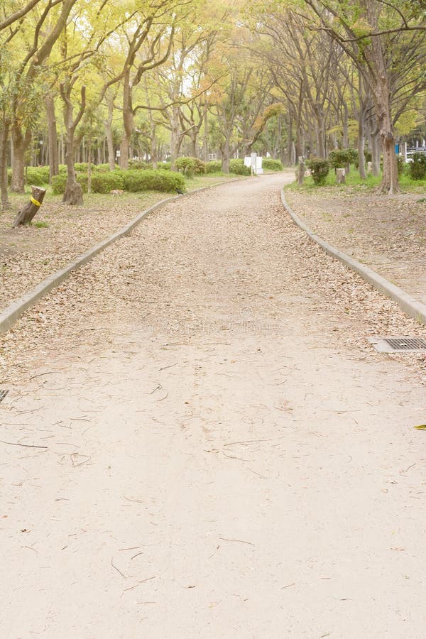 Park scenic stock image. Image of asia, scenery, foliage - 41047093