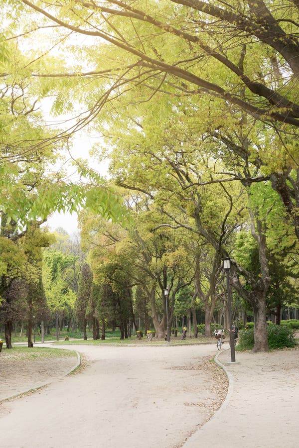 Park scenic stock image. Image of road, beauty, natural - 43497385