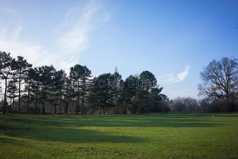 Park setting blue sky stock photo. Image of bushes, daytime - 87826788