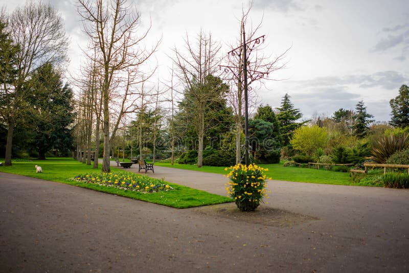 Park Setting in Spring Lush Foliage Bare Trees Stock Photo - Image of ...