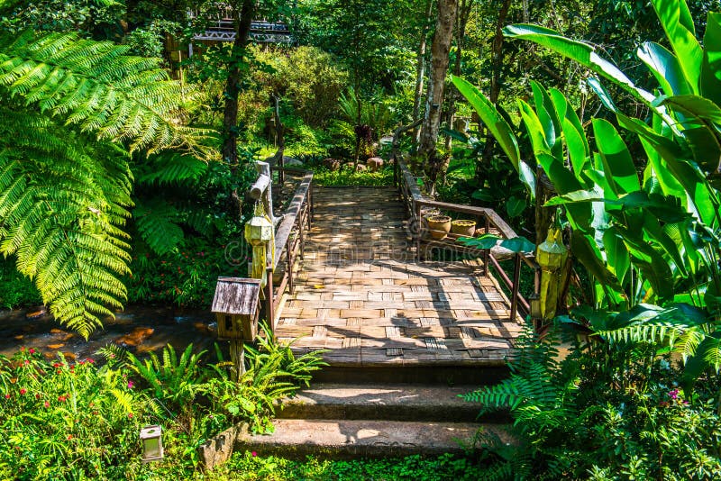 Park with small bridge stock photo. Image of public - 187610964