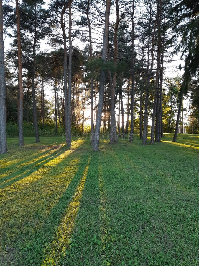 Park stock image. Image of ontario, lindsay, small, park - 138484147