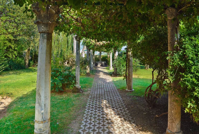 Park at Split, Croatia stock photo. Image of pine, holiday - 19963512