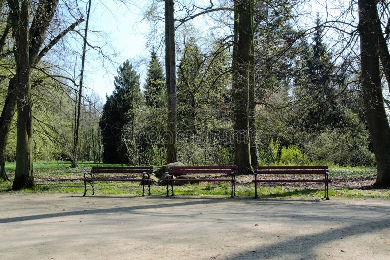 Park in spring stock image. Image of park, backyard, plant - 91015095