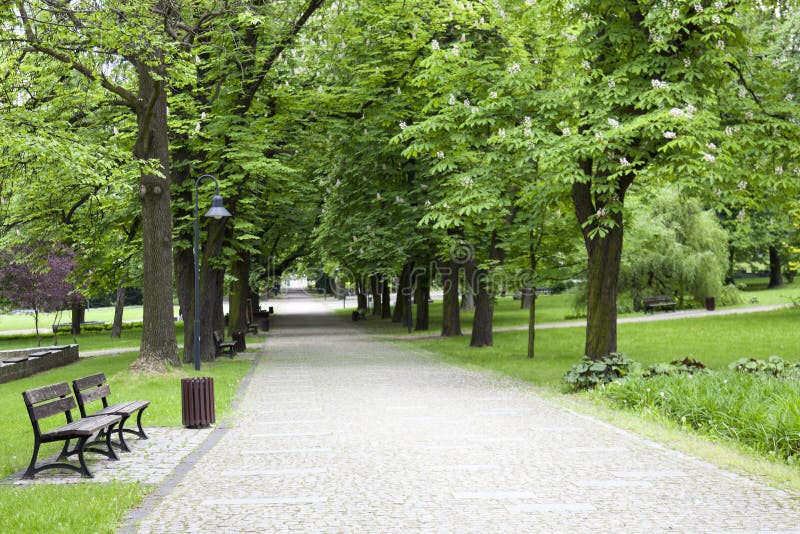 Peaceful park stock image. Image of garden, relax, park - 28987993