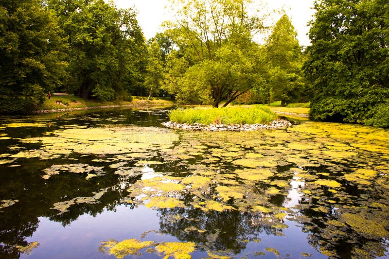 Park in spring time stock image. Image of rustic, forest - 14894609