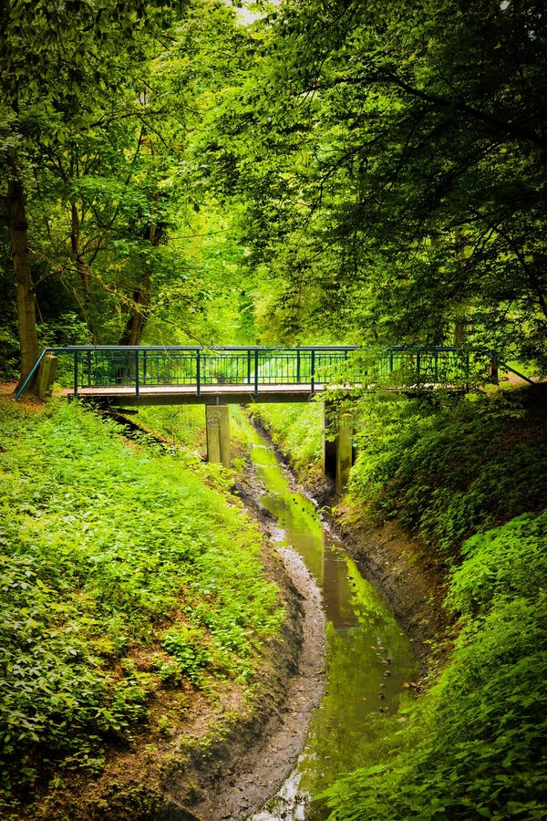 Park in spring time stock image. Image of gold, botanical - 15094073