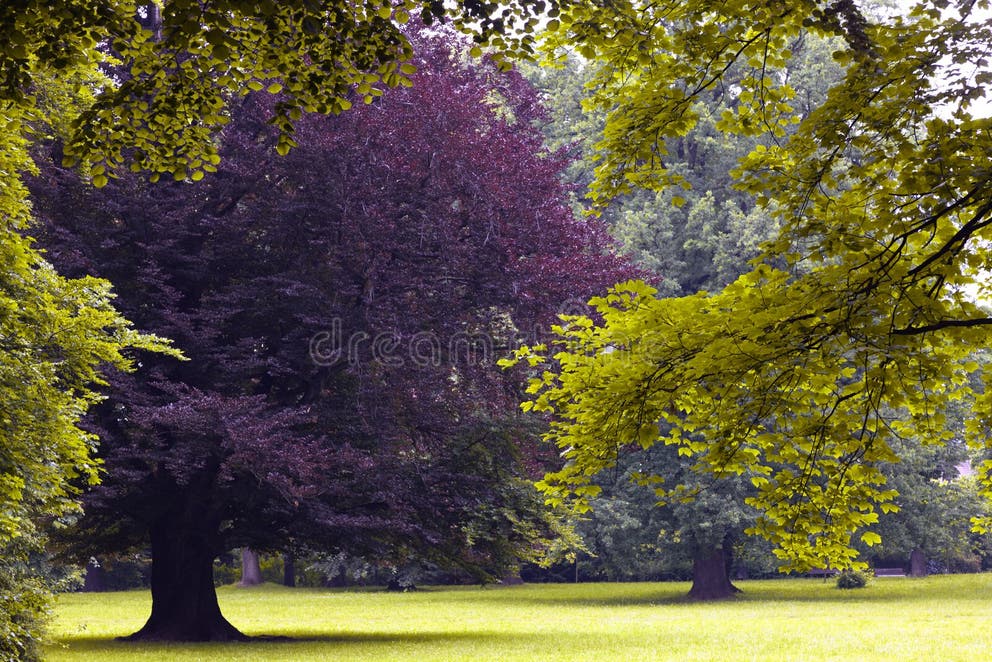 Park in spring time stock image. Image of leaf, green - 15781371