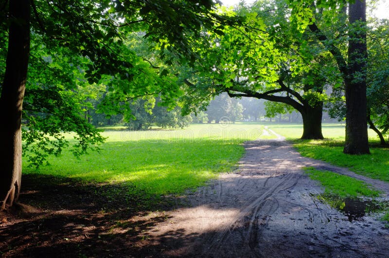 Walking path through park stock photo. Image of outdoors - 31673712