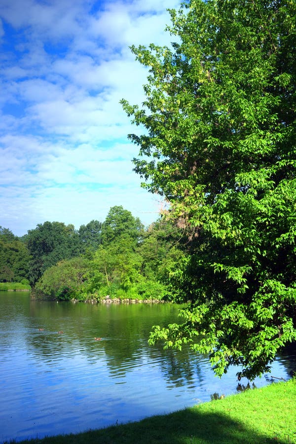 Park in spring time stock photo. Image of scene, floral - 25654970