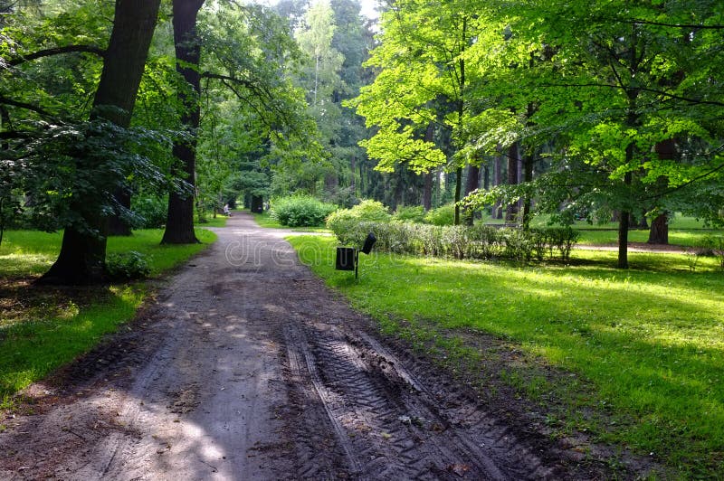 Park in spring time stock image. Image of lane, branch - 25660317