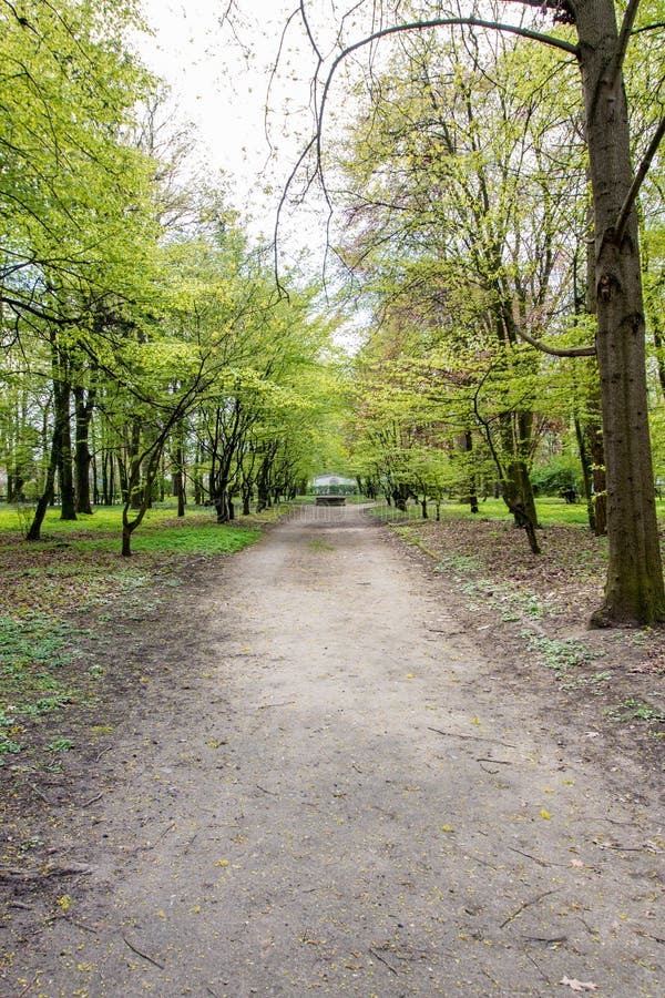 Park in Spring Time with an Alley Stock Photo - Image of meadow, green ...