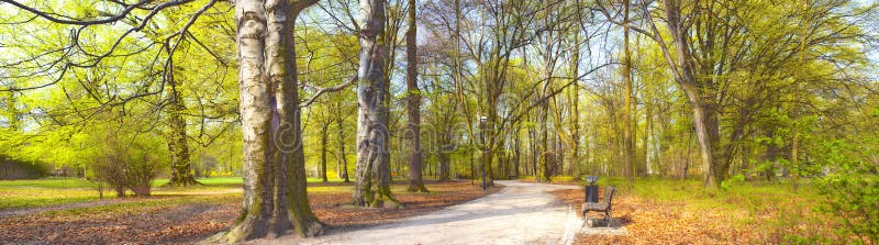 Path with Trees with Green Spring Leaves Stock Photo - Image of spring ...