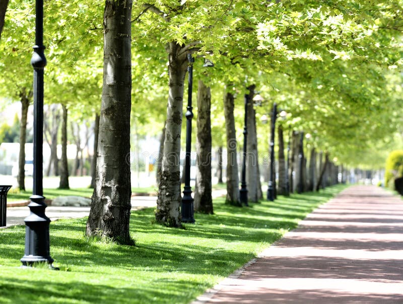 Park in spring stock photo. Image of city, caps, bench - 40863322