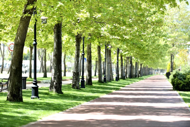 Park in spring stock photo. Image of street, light, flowers - 40863586