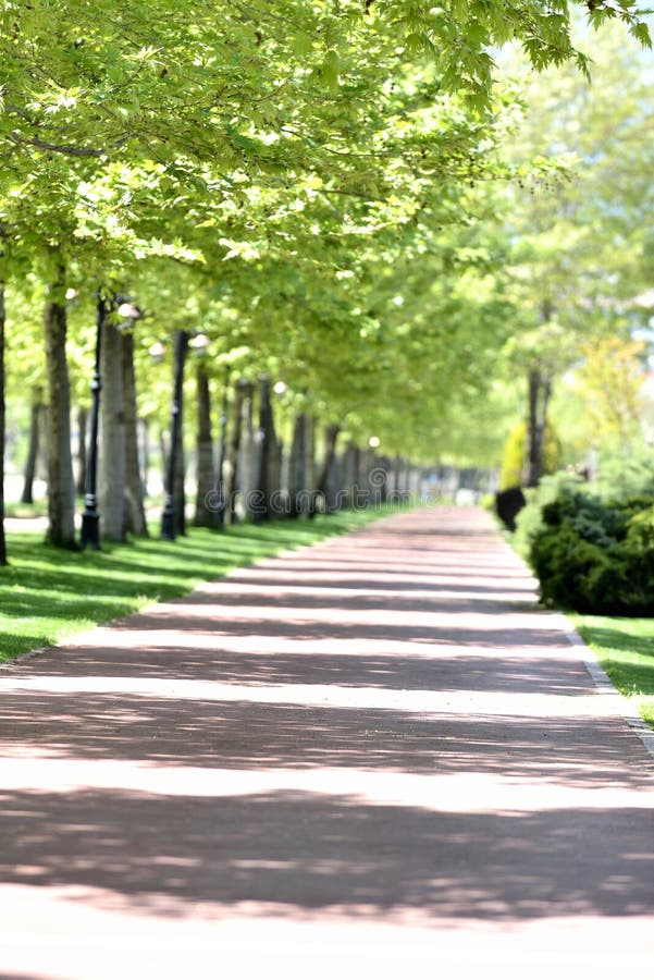 Park in spring stock photo. Image of grass, plants, light - 40863760
