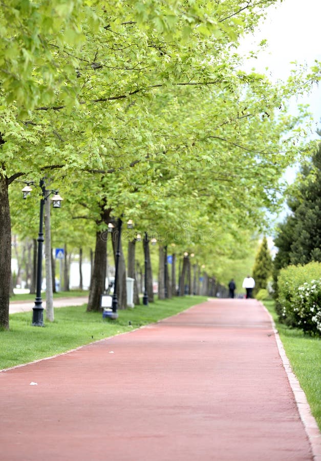 Park in spring stock photo. Image of pathway, town, plants - 40864626