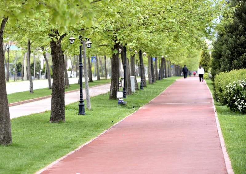 Park in spring stock photo. Image of jogging, quebec - 40864660