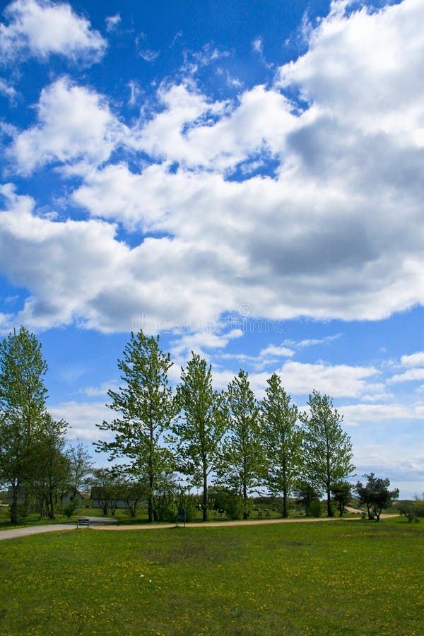 Park in springtime stock image. Image of outdoors, light - 39830101