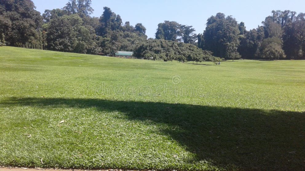 Park stock photo. Image of beautiful, kandy, park, srilanka - 109353360