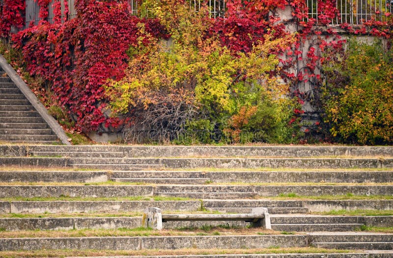 Park Staircase in Vienna Autumn Stock Photo - Image of flora ...