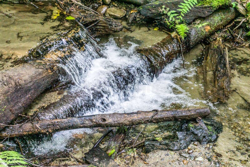 Park Stream and Logs 4 stock image. Image of state, washington - 227586455
