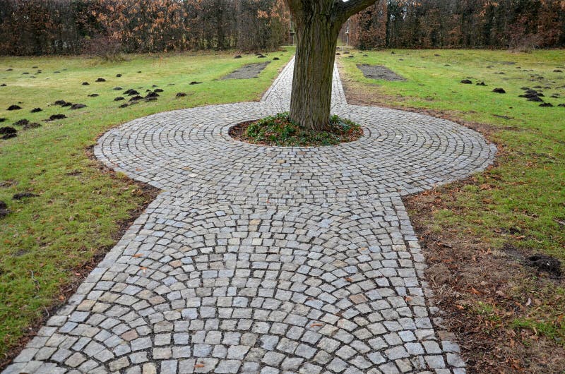 In the Park There is a Path Surrounding a Tree Growing Directly in the ...