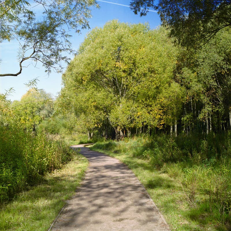 Park Trail stock photo. Image of botanic, walkpath, hiking - 24083566
