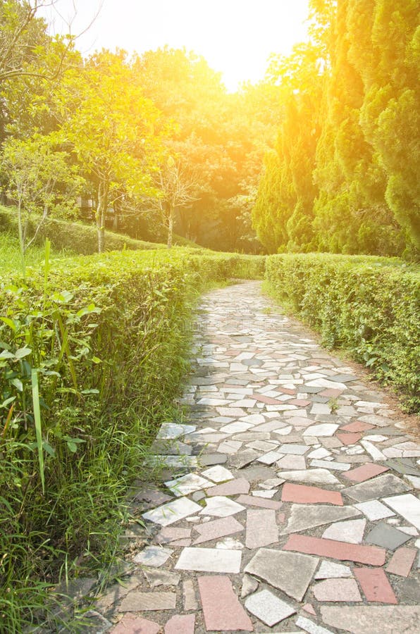 Park trail stock photo. Image of background, garden, abstract - 57595734