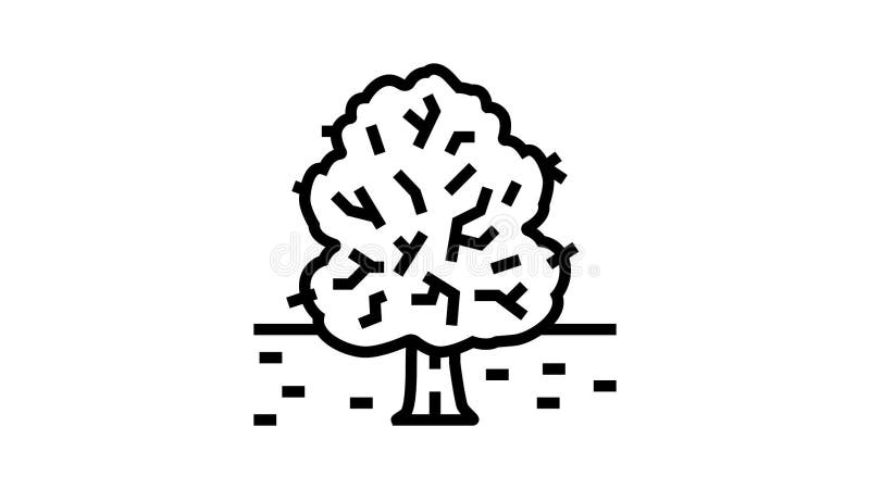 Park Tree Line Icon Animation Stock Video - Video of spring, forest ...