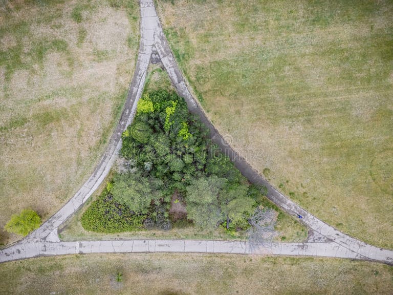 Park with a Tree in the Middle of a Triangle Stock Image - Image of ...