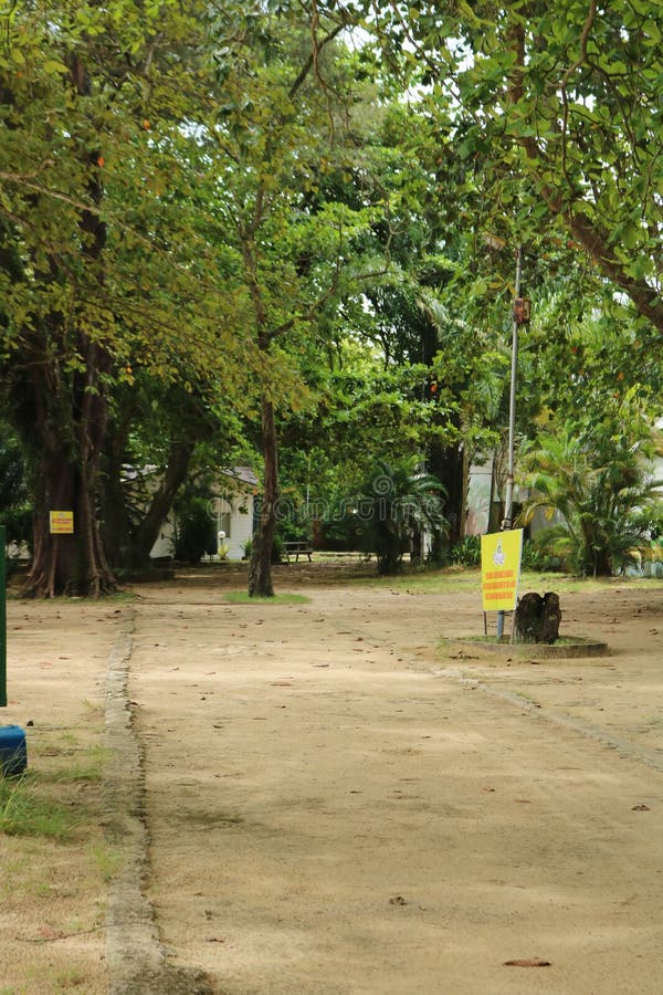 Park and Tree Path with Great Views Stock Image - Image of autumn ...