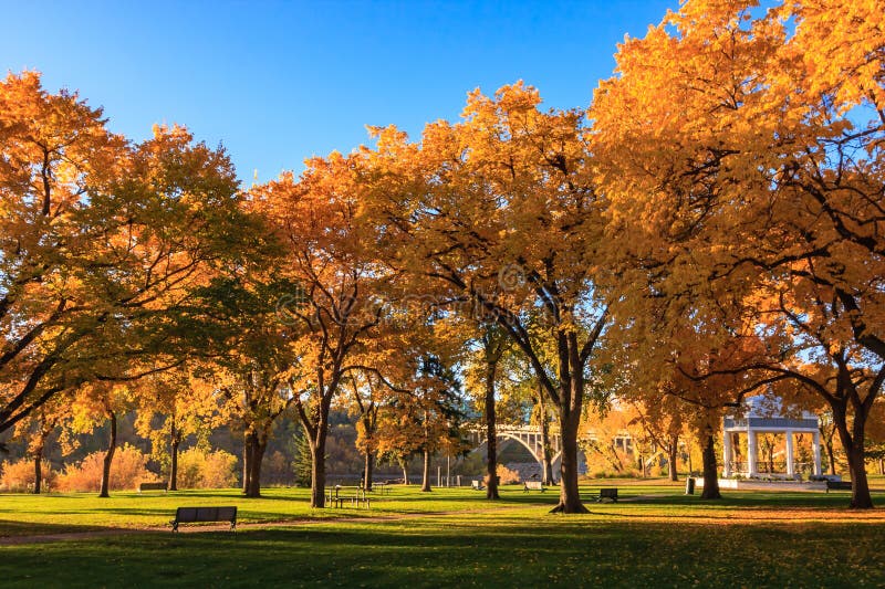 A Park with Trees in Autumn Colors Stock Image - Image of november ...