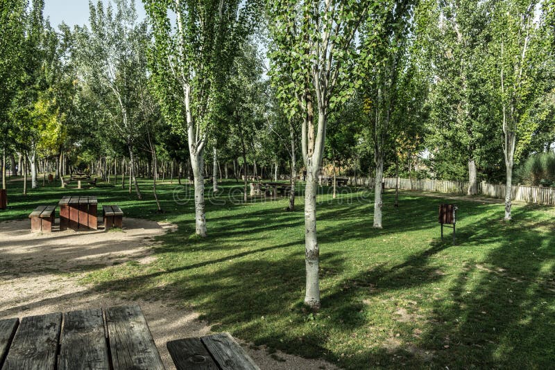 Park with Trees and Benches Along Riverbank Stock Image - Image of ...