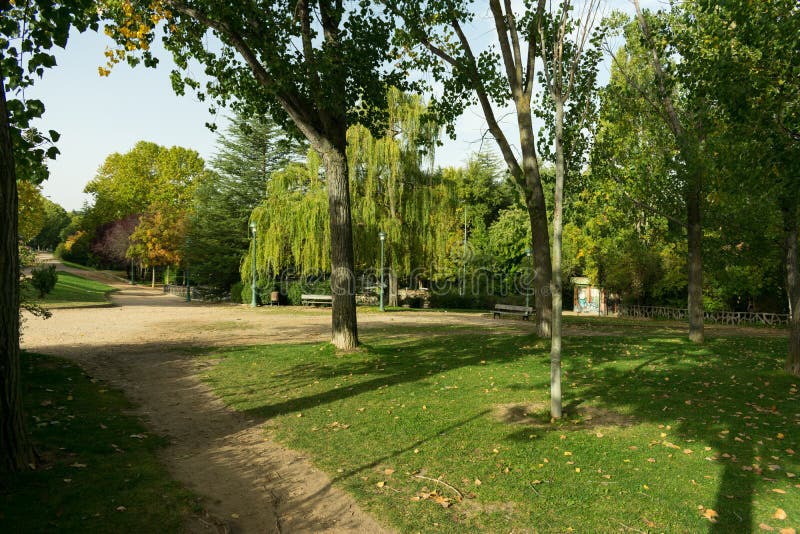 Park with Trees and Benches Along Riverbank Stock Image - Image of ...