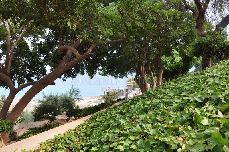 Park stock image. Image of tarragona, green, park, trees - 97505813