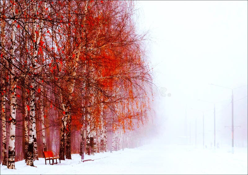 Park with Trees Covered in Snow Stock Photo - Image of natural, scenic ...