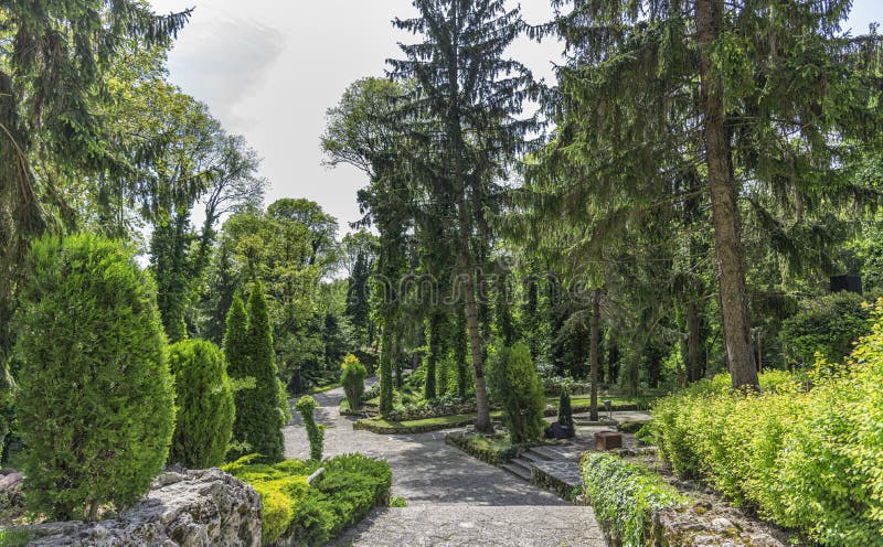 Park with Trees and Stone Paths. Stock Photo - Image of town, color ...