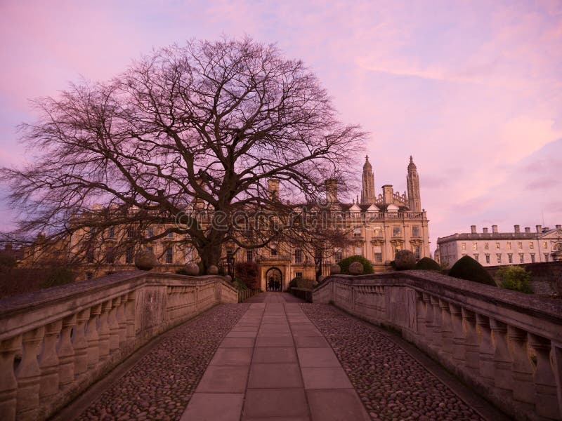 Park at Trinity College Cambridge at Sunset Stock Image - Image of ...