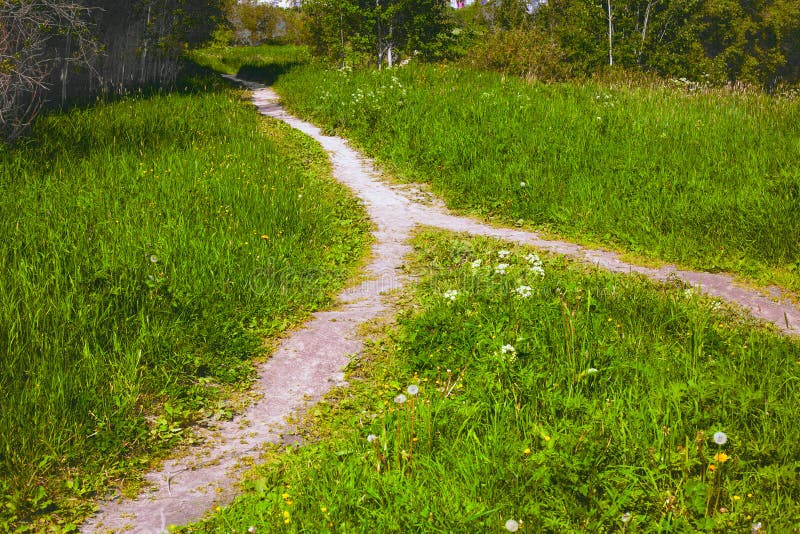 In the Park Two Footpaths Merged into One Stock Image - Image of ...