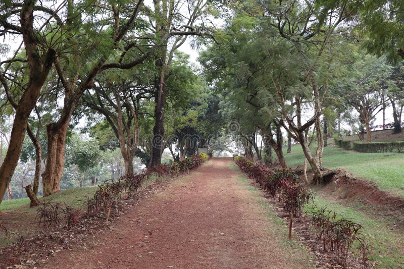 Park in Uganda with a Long, Winding Path, Lined with Green Trees and ...