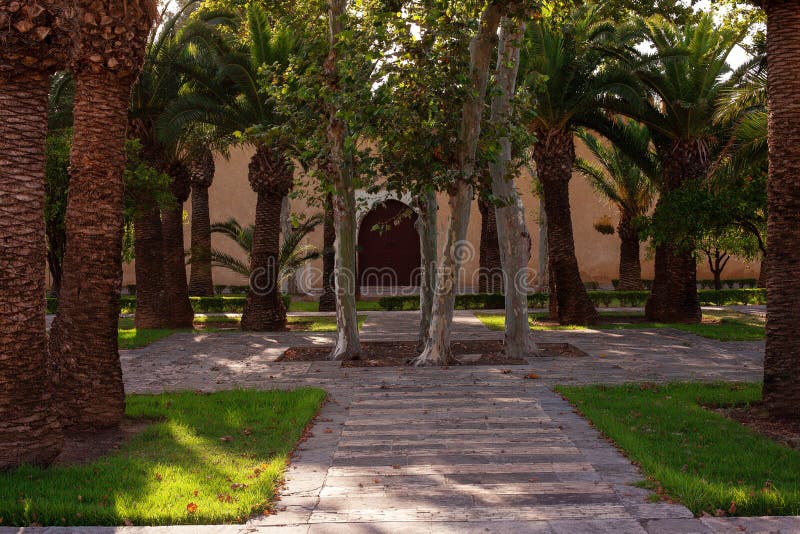 Park with Various Types of Trees in the Daytime in Morocco Stock Photo ...