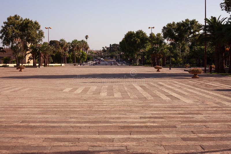 Park with Various Types of Trees in the Daytime in Morocco Stock Image ...