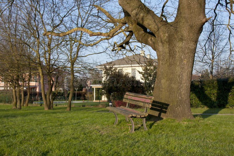 Park view stock photo. Image of spring, october, lifestyle - 49348742